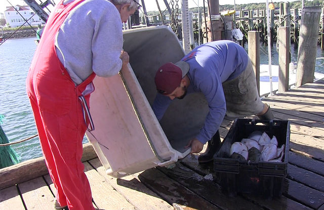 The Blue Economy And Coastal Resiliency Coastal Engineering Co