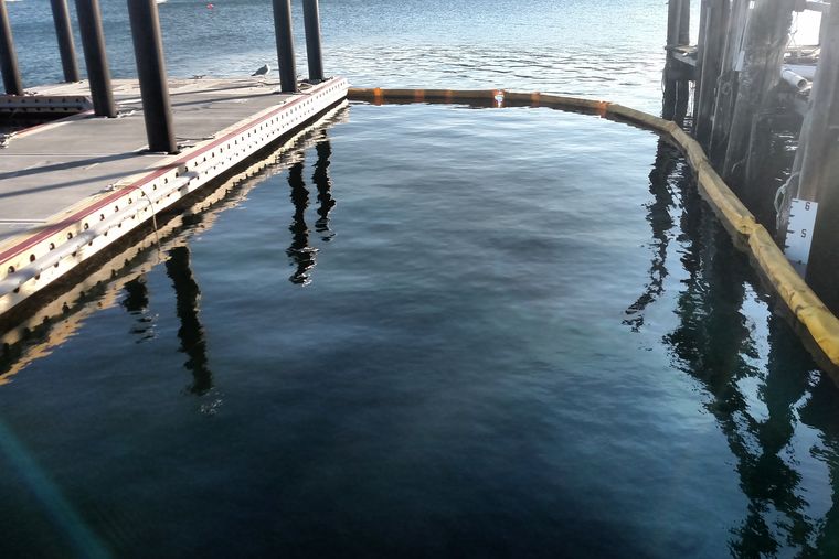 Old Mill Boatyard Dredge Sample and Hydro… | Coastal Engineering Co.